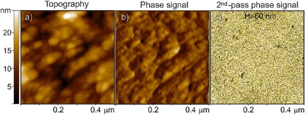 From Polymer to Magnetic Porous Carbon Spheres: Combined Microscopy ...
