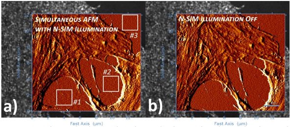 Simultaneous co-localized super-resolution fluorescence microscopy and ...