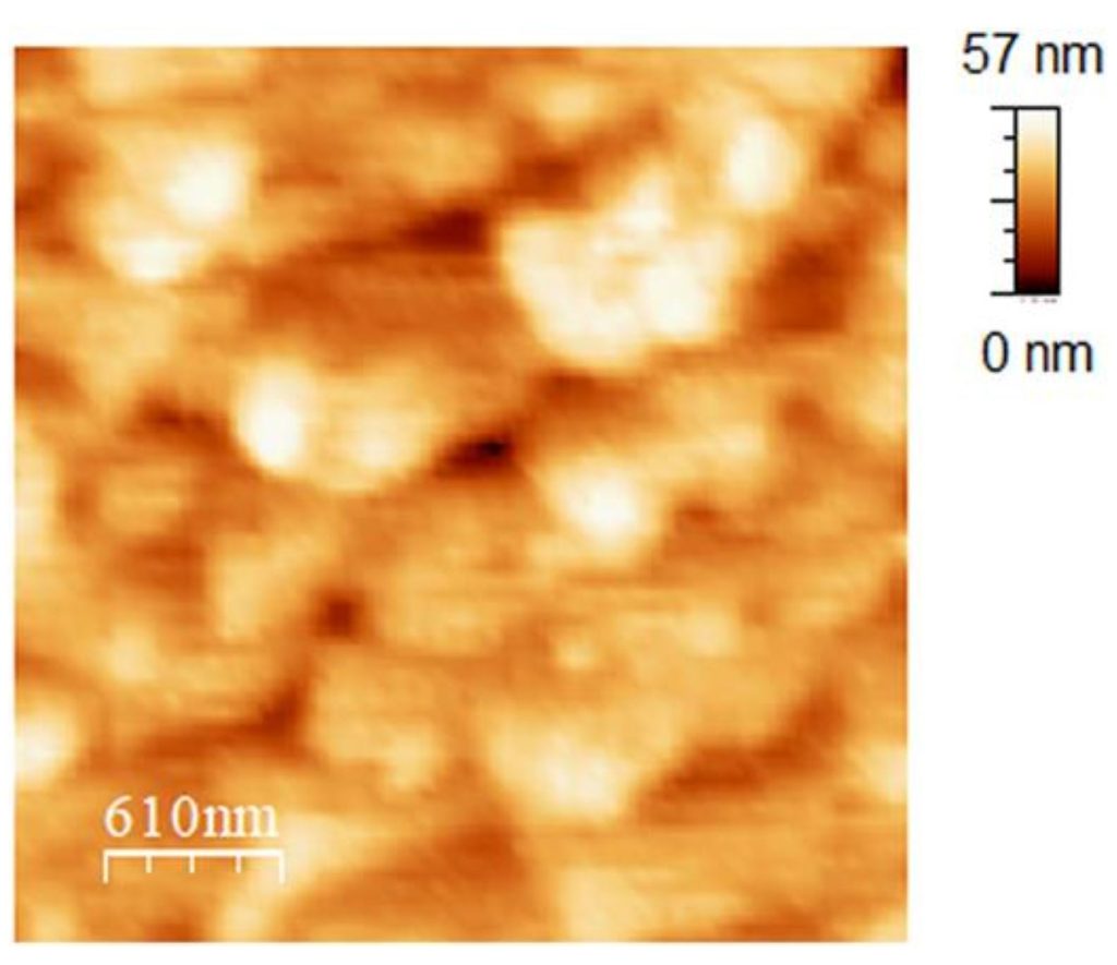 The interface between ice and alcohols analyzed by atomic force ...