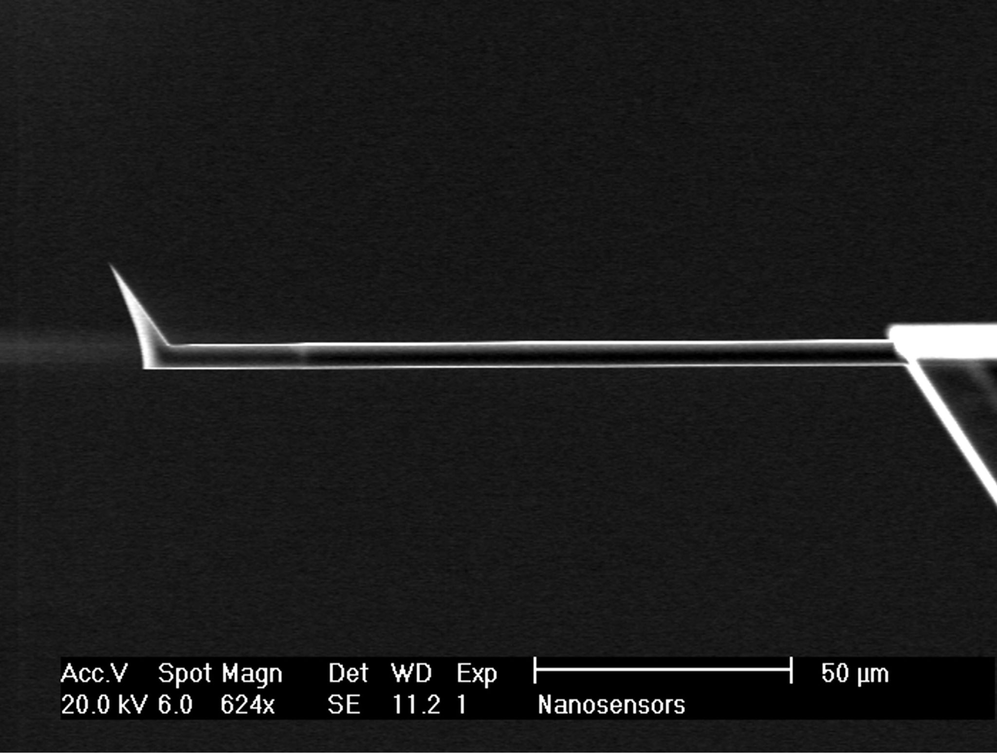 Light-Induced Ferroelectric Modulation of p-n Homojunctions in ...