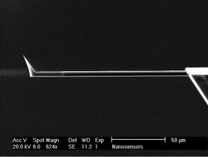 Light-Induced Ferroelectric Modulation of p-n Homojunctions in Monolayer MoS2 – Blog ...