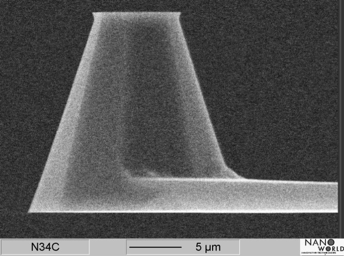 Special Developments List (SDL) - NANOSENSORS™