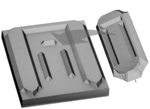 Special Developments List (SDL) - NANOSENSORS™